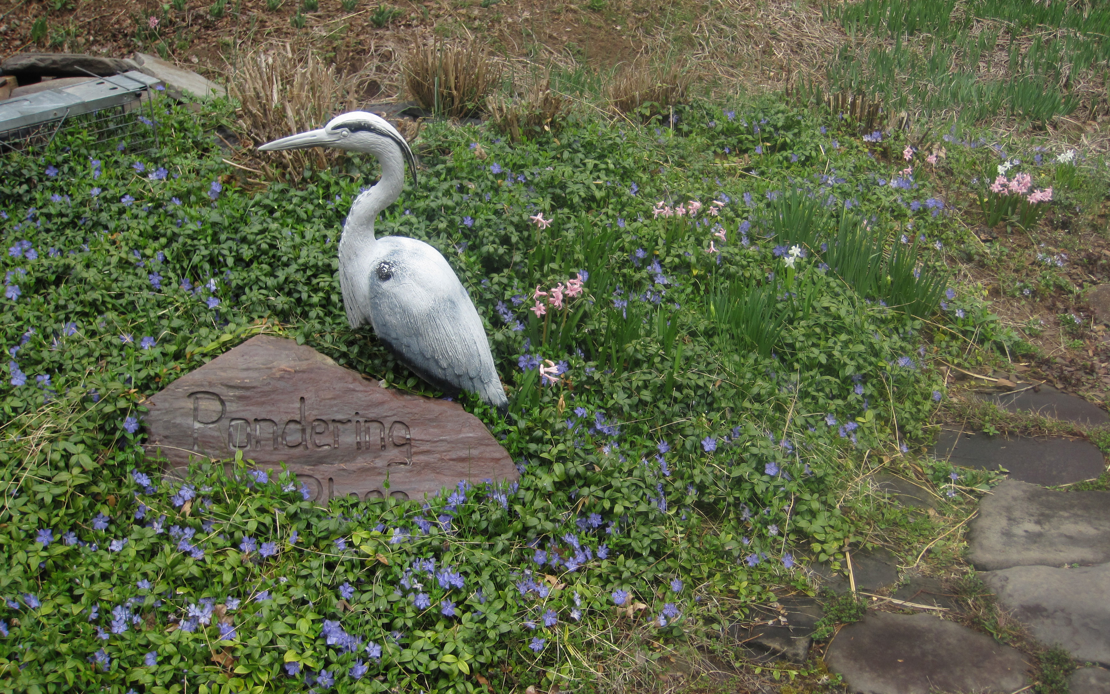 Pondering Place Perriwinkle and Hyacinths - Planters Place