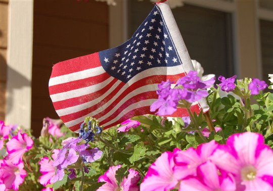 American Gardening - Planters Place