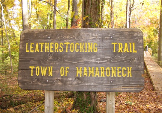 Leatherstocking Trail - 11 - Planters Place