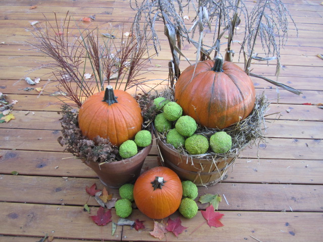 Fun Fall Container Ideas