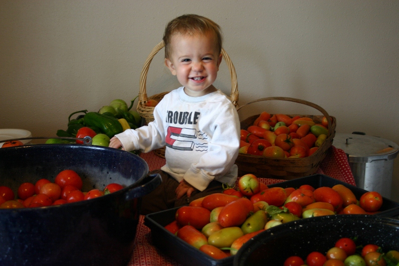 Giving fresh produce to families in need