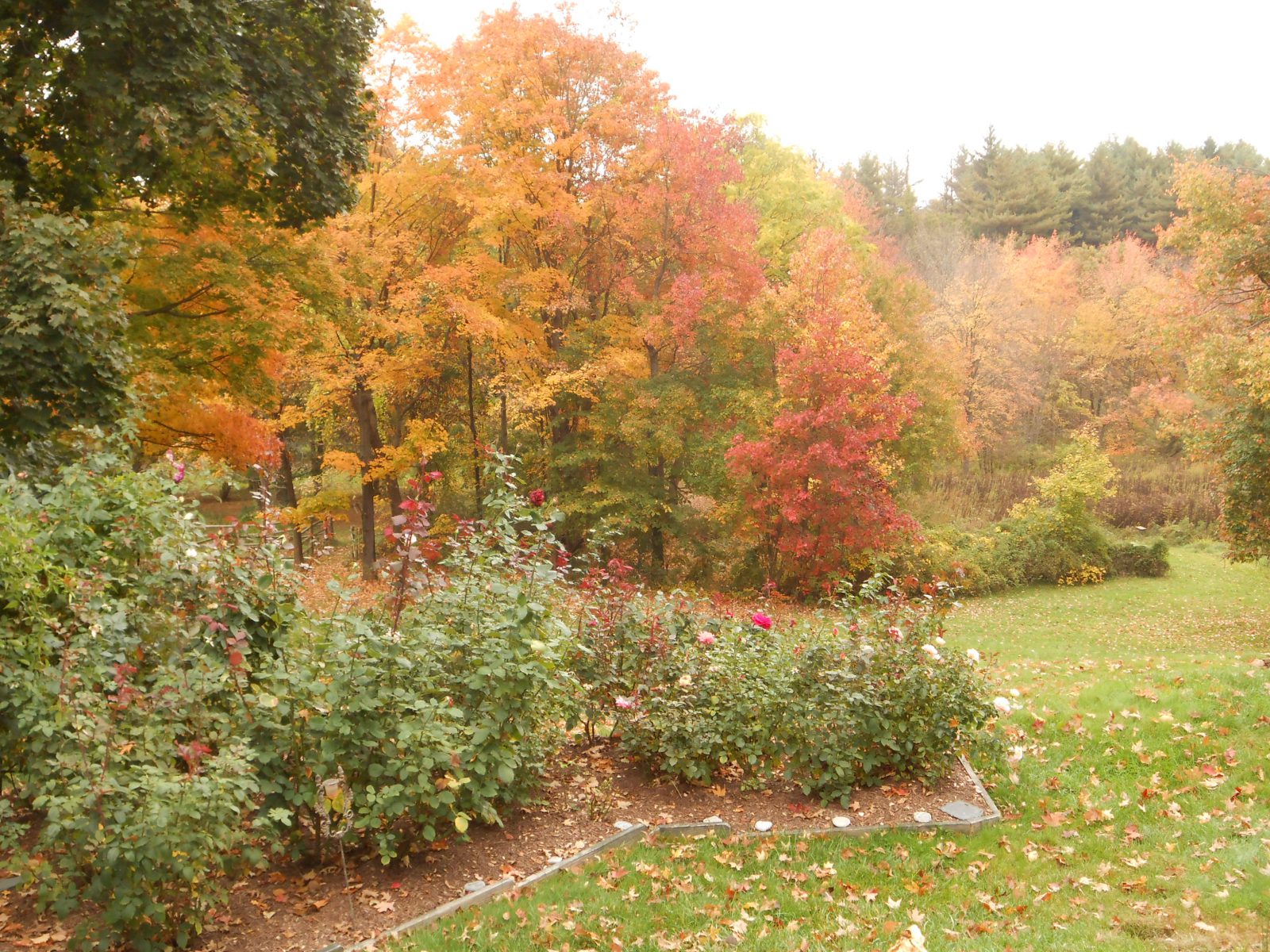 Autumn Spice in the Air