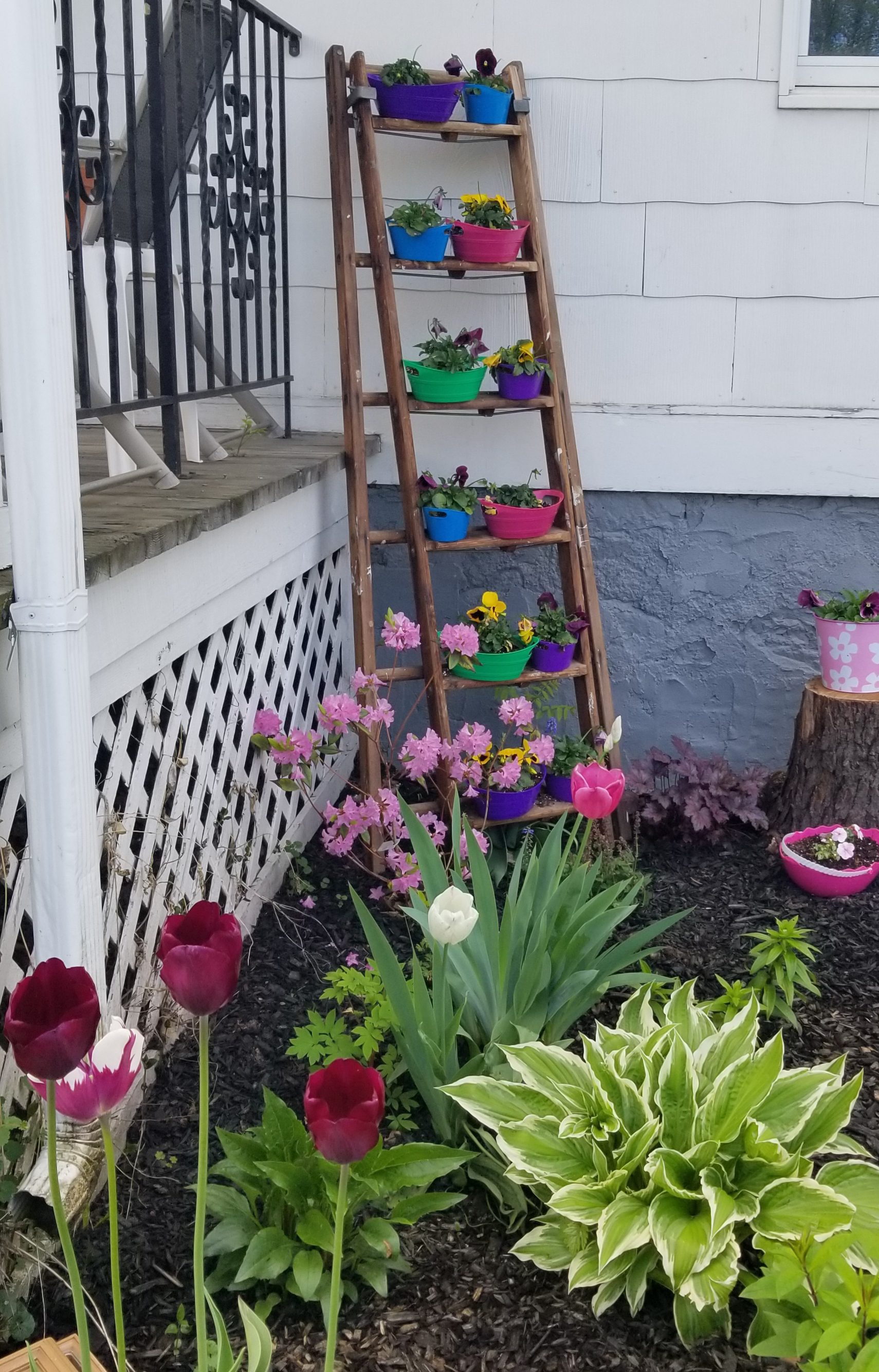 Spring ladder - Planters Place