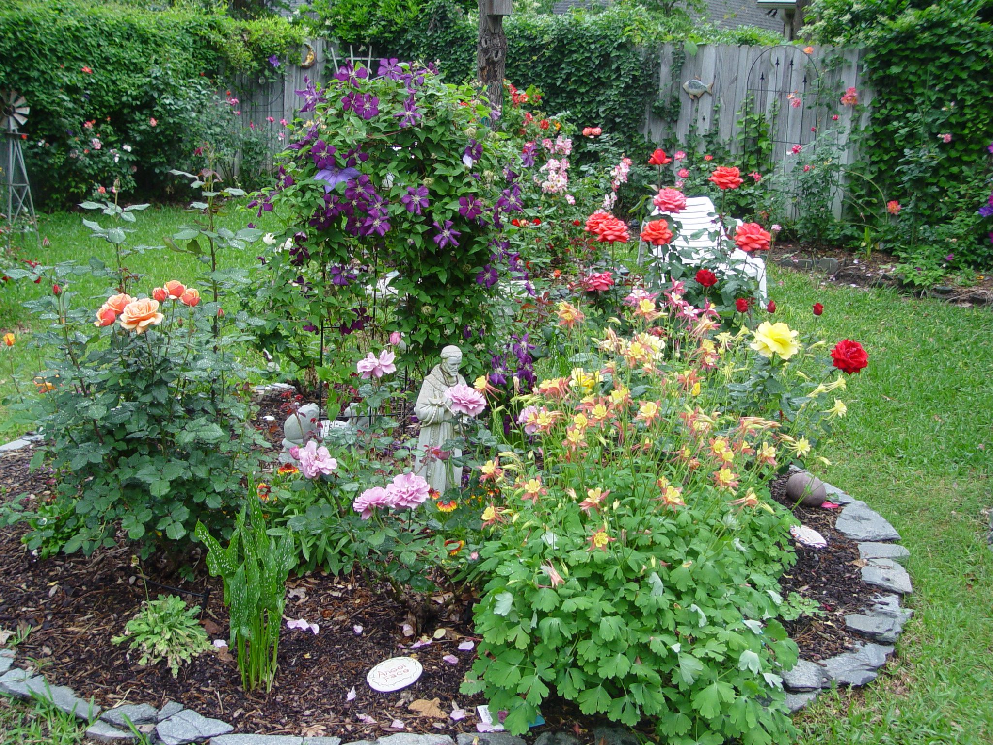 Columbine, Roses, and Clematis - Planters Place