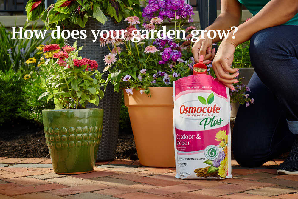 How does your garden grow - Planters Place