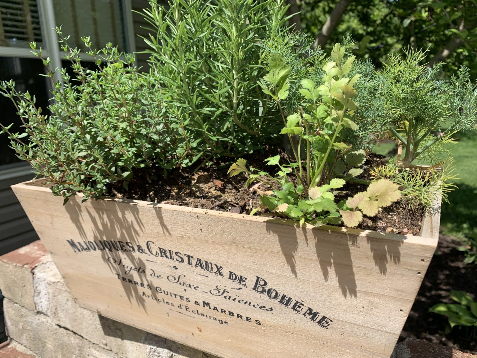 How to Grow Herb Gardens for Your Outdoor Kitchen - Planters Place