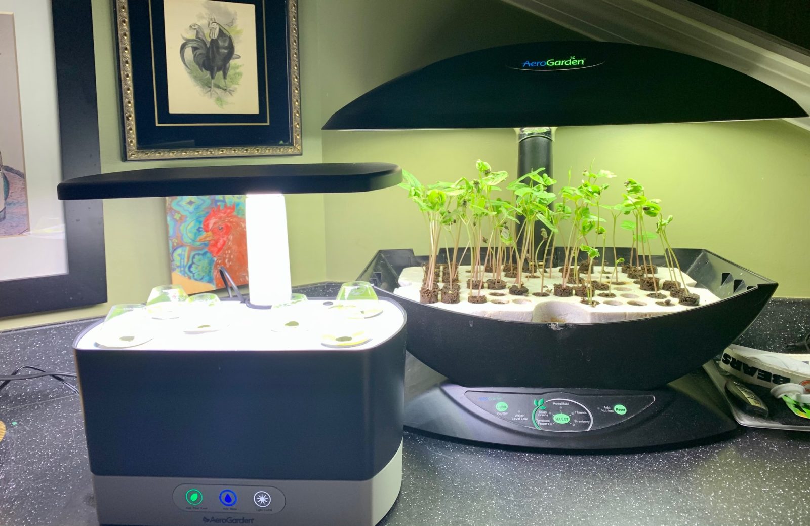 How to Start a Hydroponic Garden - Planters Place