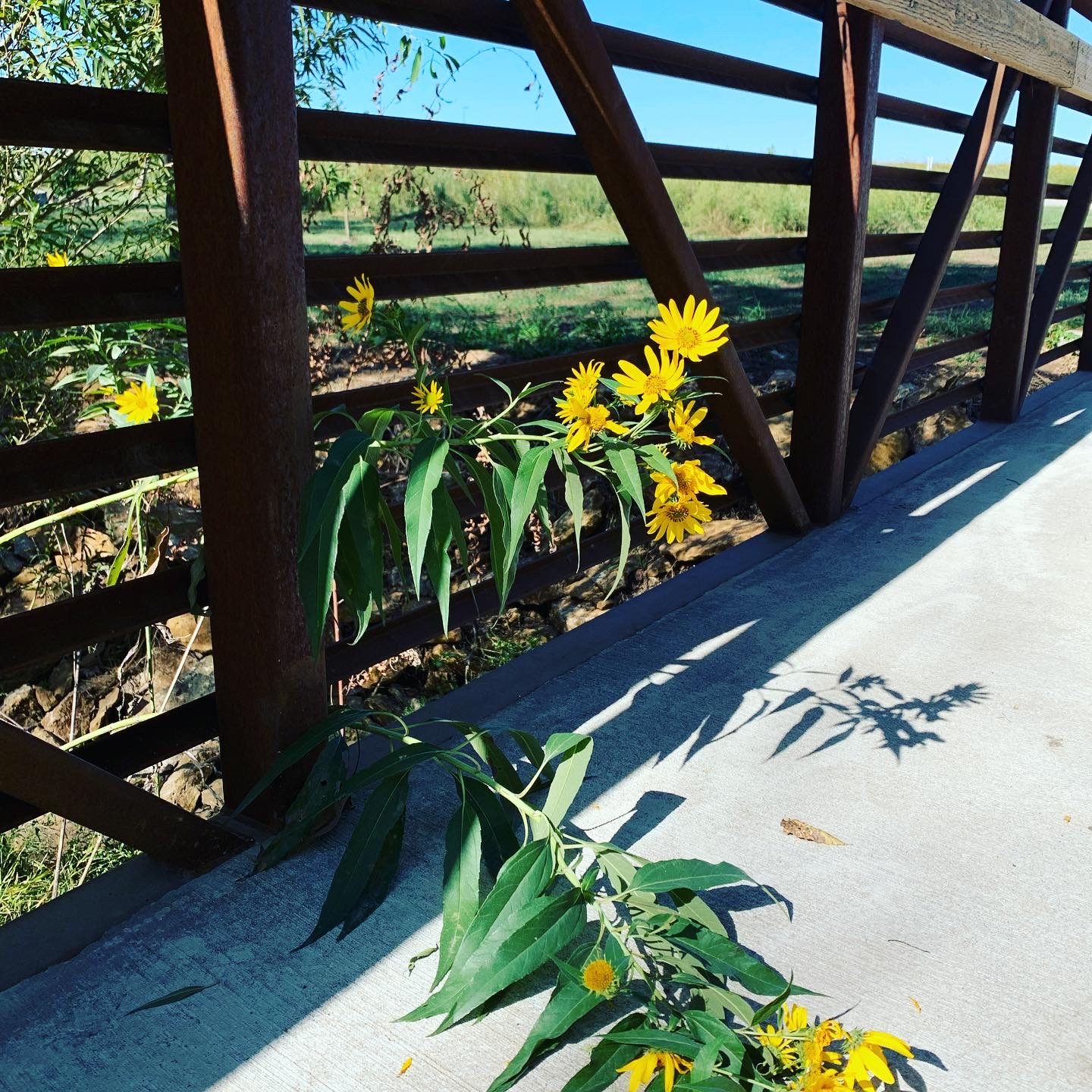 Flower Bridge - Planters Place
