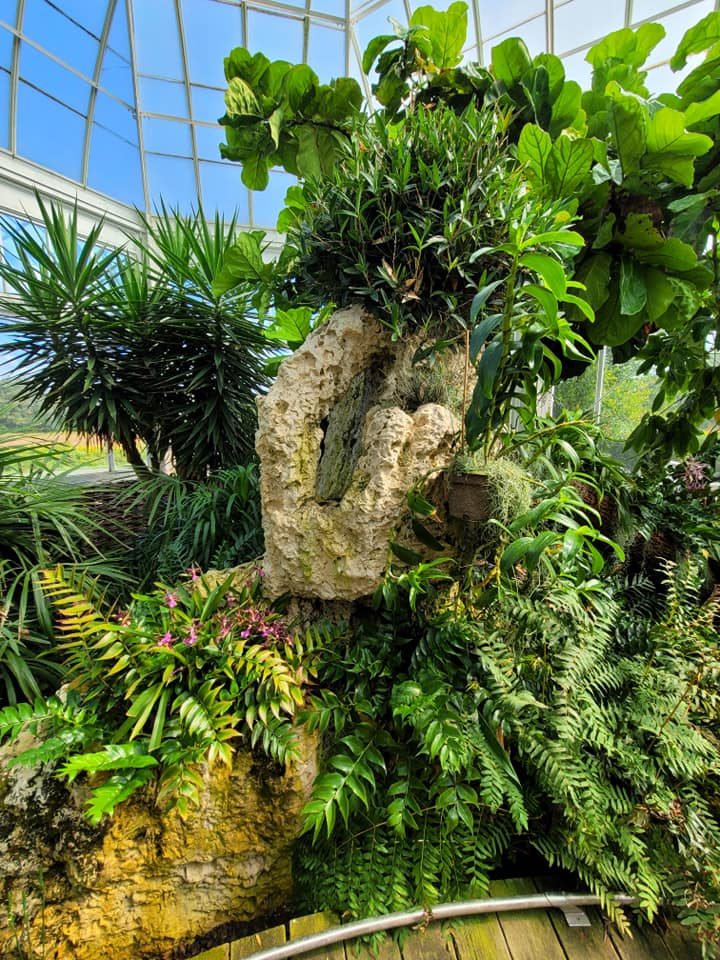 Tropical Garden Dream - Planters Place