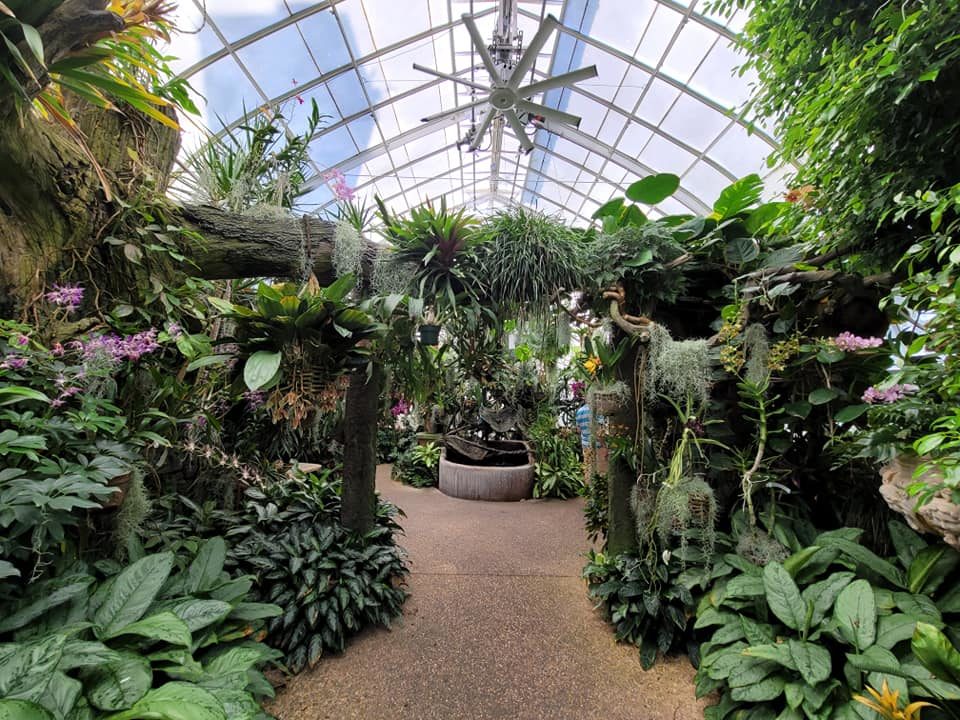 Tropical Oasis - Planters Place