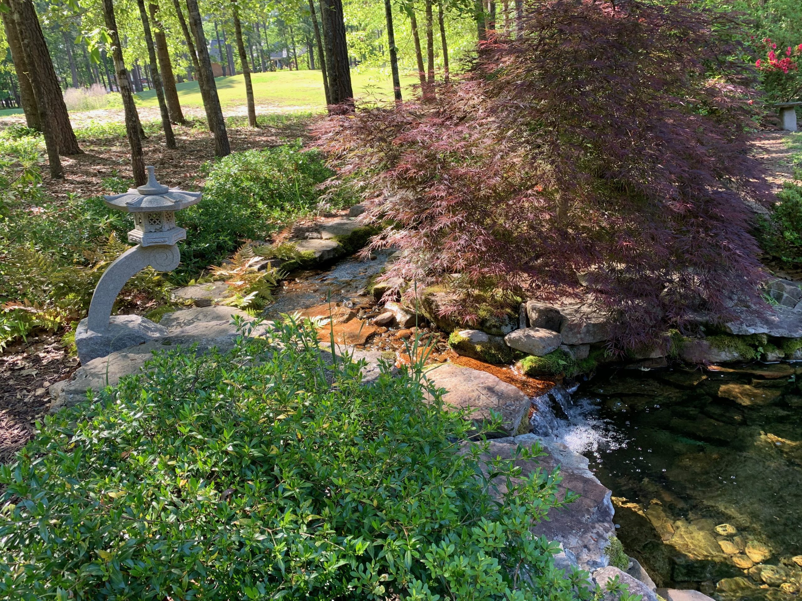 Backyard Stream and Pond in Spring - Planters Place