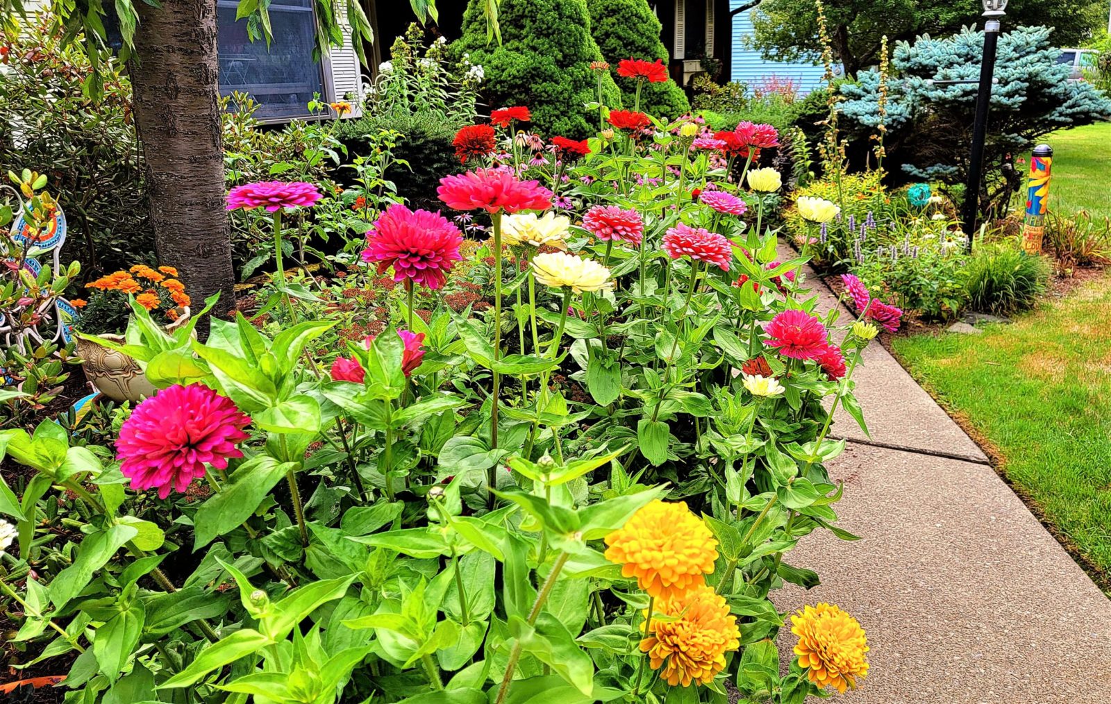 A beautiful welcome for visitors - Planters Place