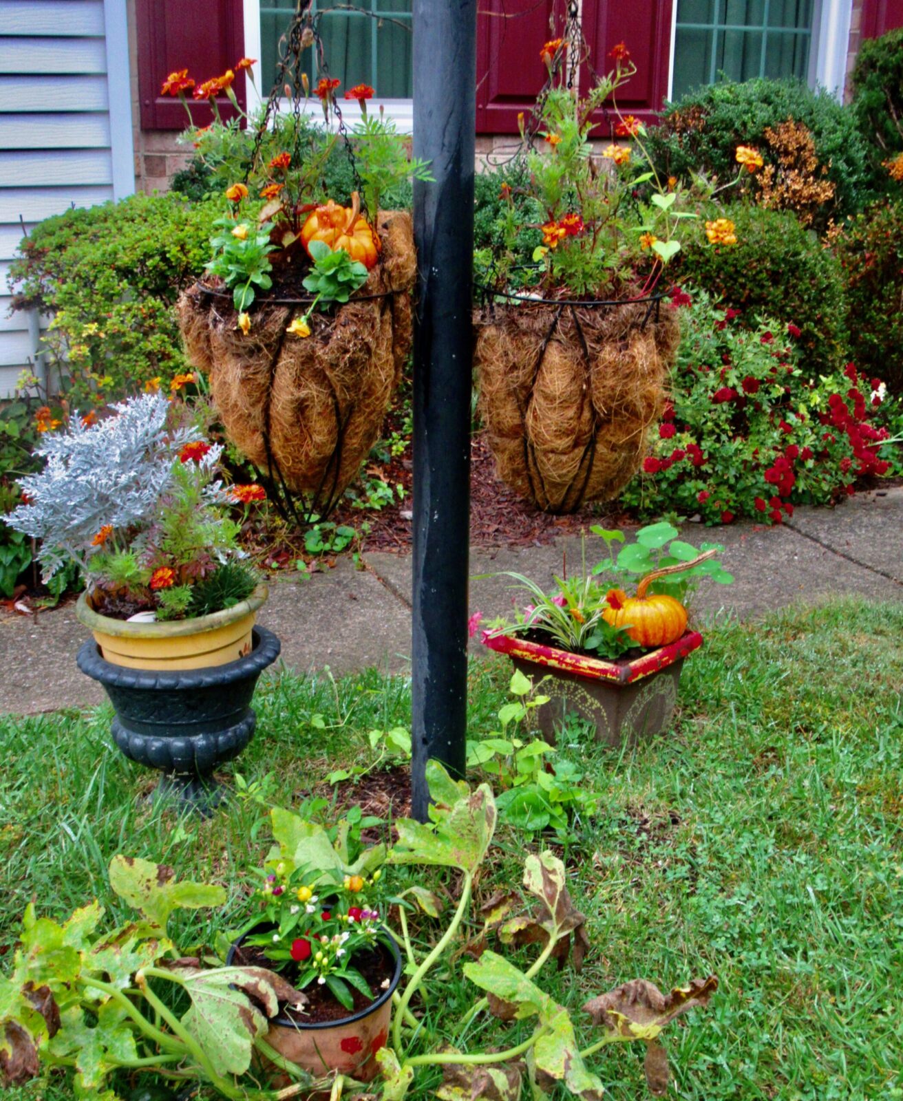 Falling into Fall - Planters Place