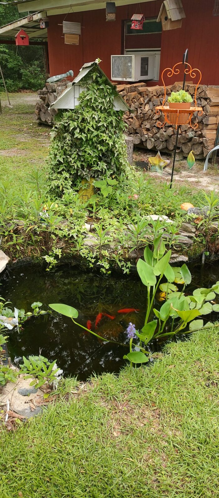 Fish pond - Planters Place