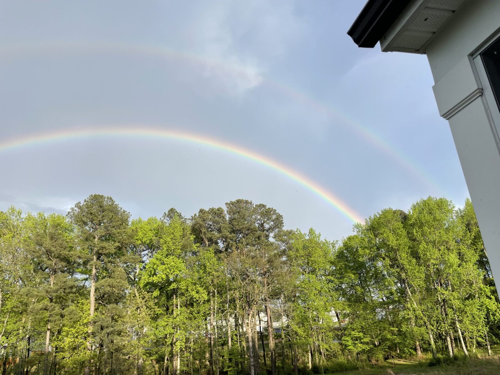 Beautiful rainbow with trees and water - Planters Place