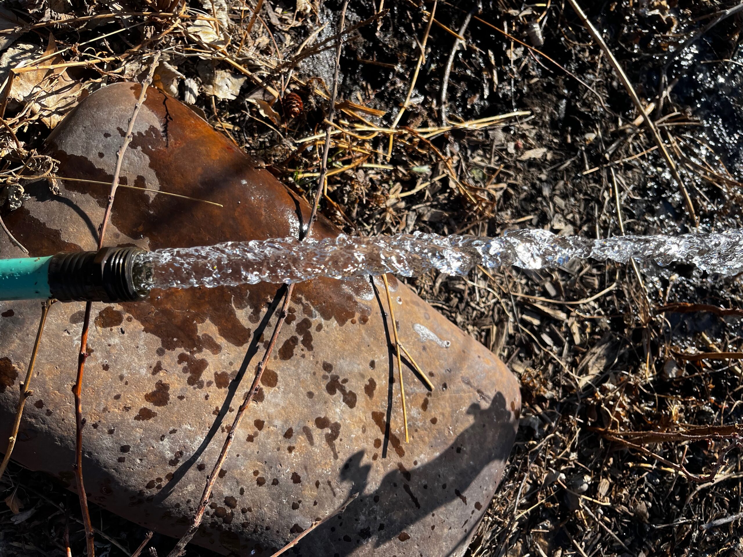 Winter Watering for Trees and Shrubs - Planters Place